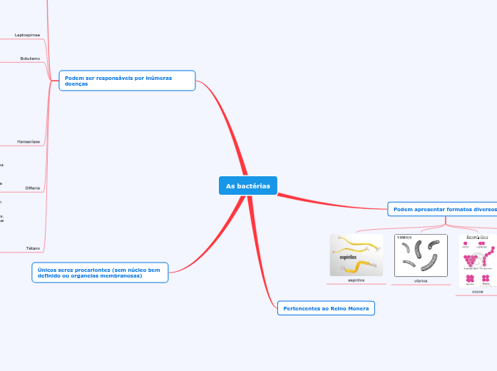 As bactérias - Mind Map